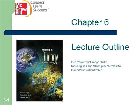 Chapter Lecture Outline See Power Point Image
