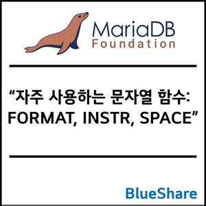MariaDB 자주 사용하는 문자열 함수 FORMAT INSTR SPACE