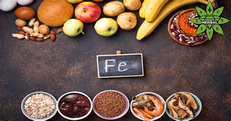 Кои храни са богати на желязо соя тиквени семки какао чушки черен дроб скариди миди