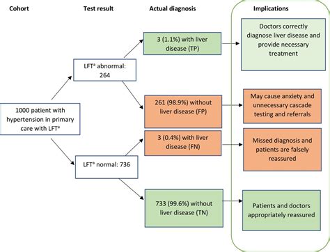 Liver Function Tests In Patients With Hypertension In Primary Care A