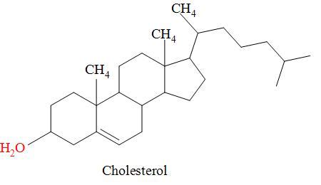 Structural Chemical Formula And Molecular Model Of Cholesterol Isolated My XXX Hot Girl