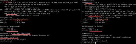 從 kind 環境中學到的 dns 小趣聞 hwchiu learning note
