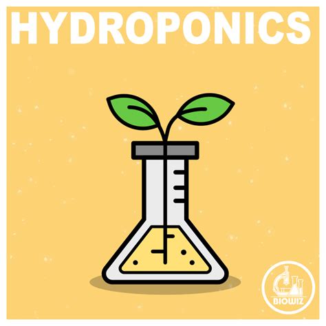 Hydroponics