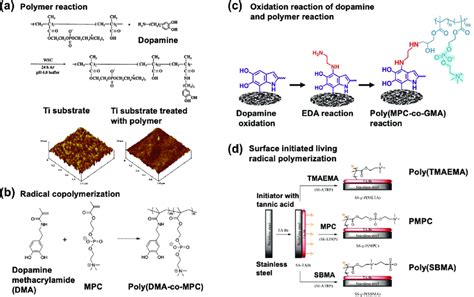 Biomimetic Surface Immobilization Procedure With Zwitterionic Polymers