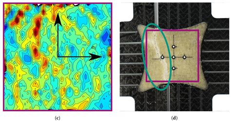 J Compos Sci Special Issue Discontinuous Fiber Composites