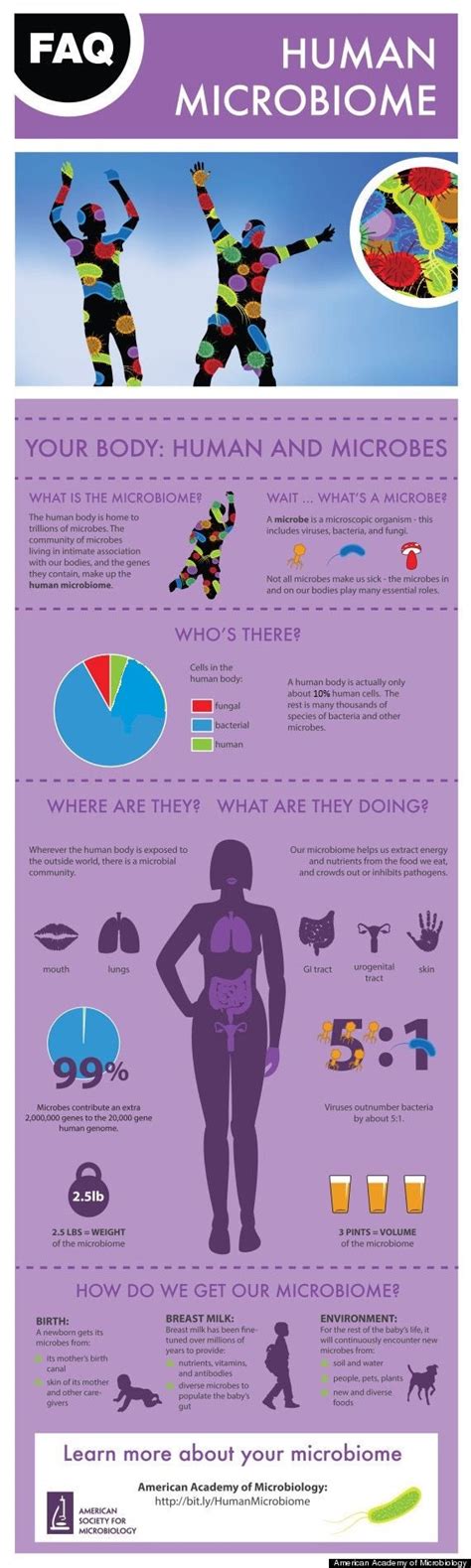 More Microbe Than Man The Ecosystem In Your Body