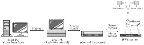 A New Variable Stiffness Body Weight Support System Driven By Two