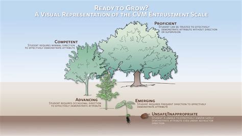 A New Era For Clinical Education At Cornell Cornell University