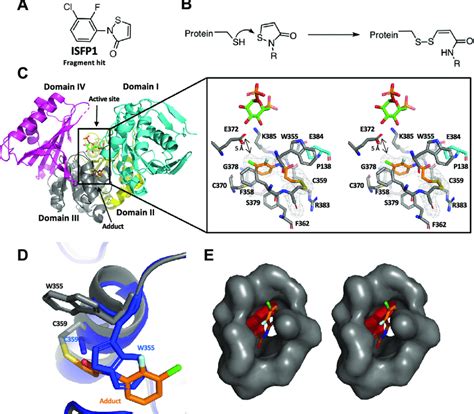 Crystal Structures Of Capgm In Complex With Isfp1 Fragment Hit A