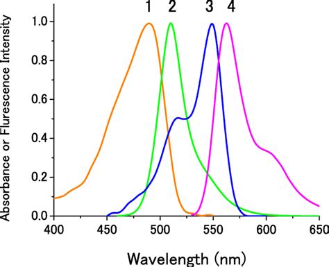 Fluorescence Spectra Were Measured At Rodney Hickman Blog