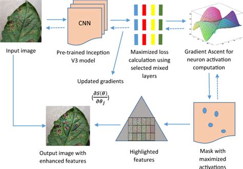 Deepdream Feature Extraction And Gradients Updation Process For An