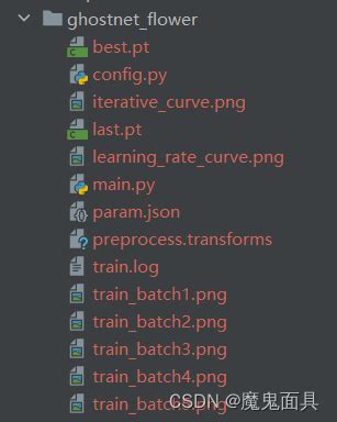 使用Pytorch实现图像花朵分类 ghostnet预训练权重下载 CSDN博客