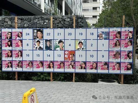 东京都知事选举为何被拖入娱乐化泥沼 腾讯新闻