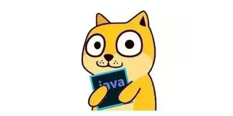 大学时候怎么自学编程的 知乎