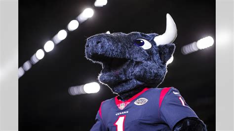 Texans Mascot
