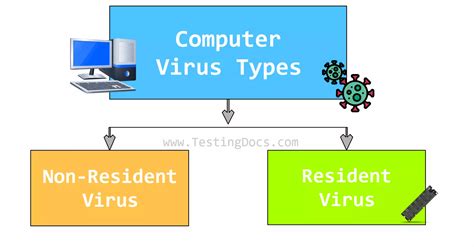 computer virus types