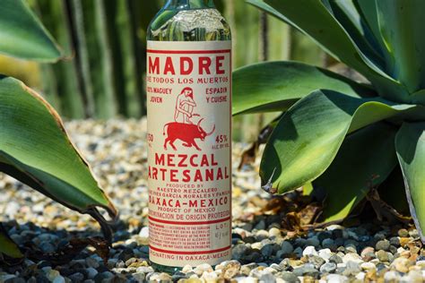 12 Best Traditional Hispanic Drinks Including Non Alcoholic Ones