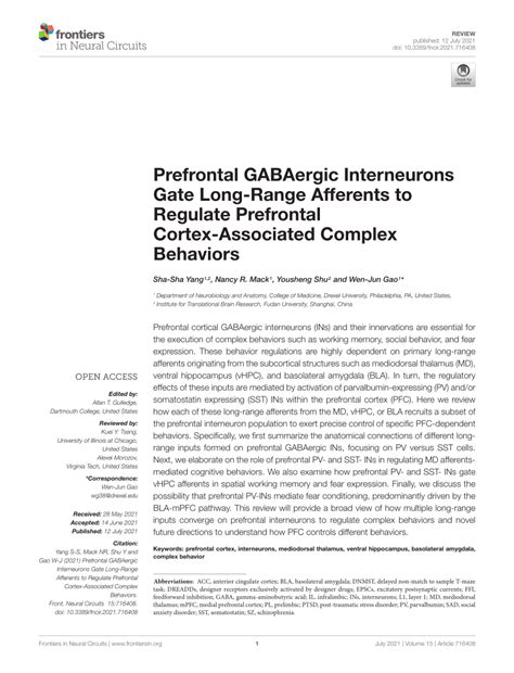 Pdf Prefrontal Gabaergic Interneurons Gate Long Range Afferents To Regulate Prefrontal Cortex