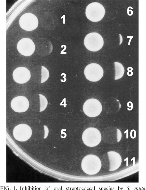 Streptococcus Sanguis Semantic Scholar