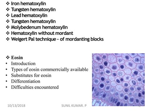 Hematoxylin And Eosin Staining Hand E Staining Ppt