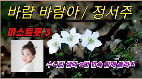 미스트롯 3 정서주 바람 바람아 가사자막3번 연속 듣기 수니킴노래교실알고보니혼수상태 Youtube