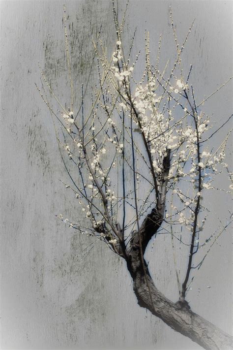 画幅 其の参 GANREF