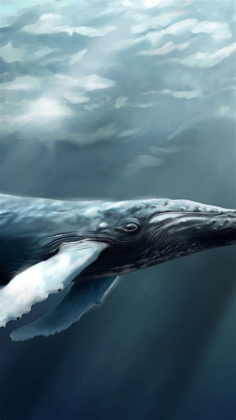 43360 Humpback Whale Ocean Underwater Art 4k Wallpaper Iphone Phone