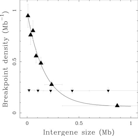 Small Intergenes Present A High Breakpoint Density Intergenic