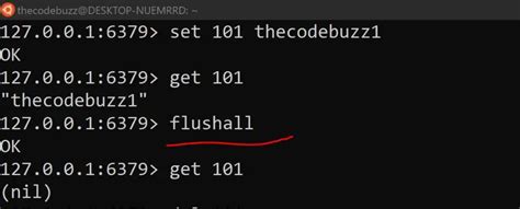How To Delete Everything In Redis Guidelines TheCodeBuzz
