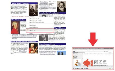 Open in VLC VideoLAN Chrome插件下载及使用教程 网多鱼