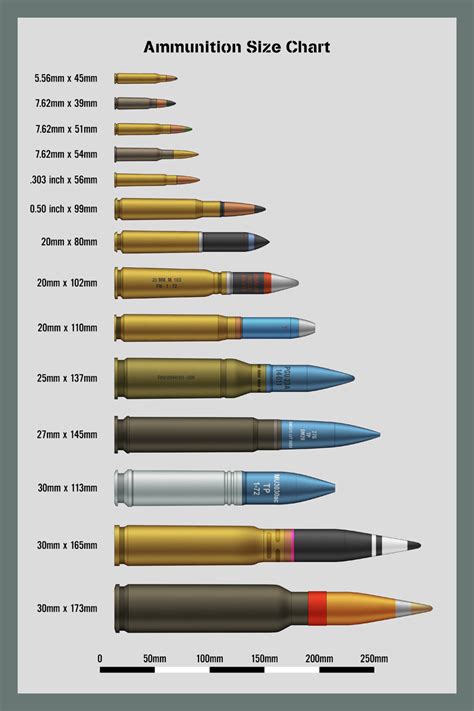 Bullets Sizes Calibers And Types The Definitive Guide