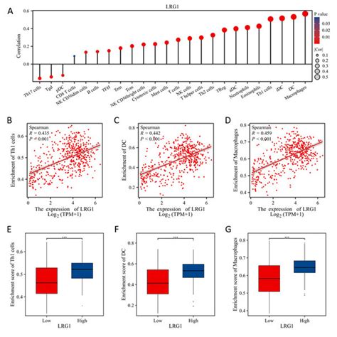 Relationship Between Lrg1 Expression And Immune Infiltration In The