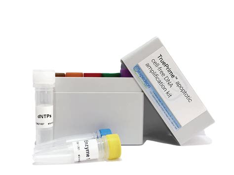 Cfdna Amplification Kit