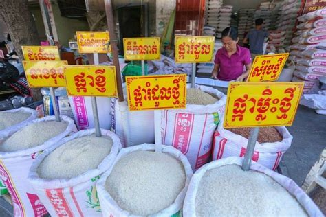 តម្លៃអង្ករកម្ពុជានៅលើទីផ្សារអន្តរជាតិ បន្តហក់ឡើង ក្នុងរយៈពេល១សប្តាហ៍នៃខែមករាឆ្នាំ២០២៤នេះ