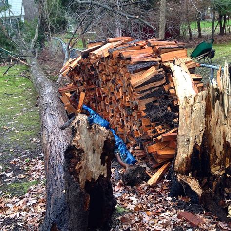 Tree Reduction Eric Asp