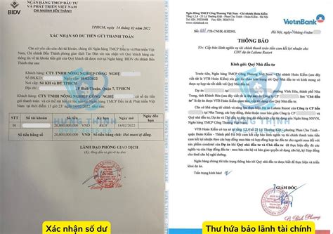 Thủ Tục Chứng Minh Năng Lực Tài Chính Của Nhà Đầu Tư Đầy Đủ And Chi Tiết