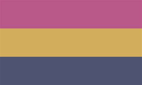 Id Two Pansexual Flags Colorpicked From Hunter