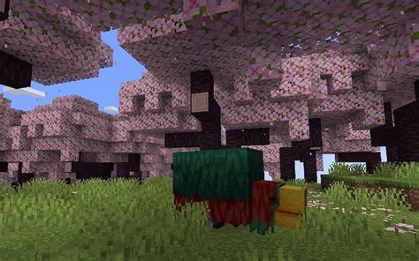 How To Get Torchflower In Minecraft 1 20