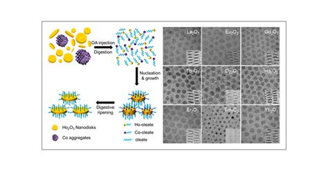 Generic Synthetic Route To Monodisperse Sub 10 Nm Lanthanide Oxide Nanodisks A Modified