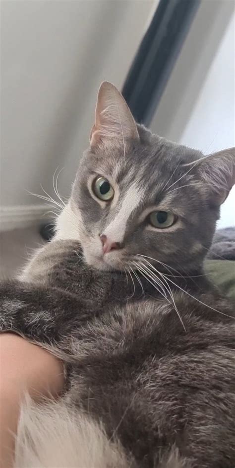 Kevin Is Definitely An Asshole R Catsareassholes