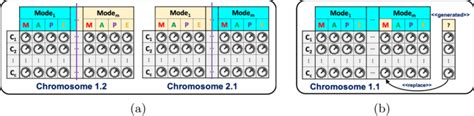 Customized A Crossover And B Mutation Operations Download