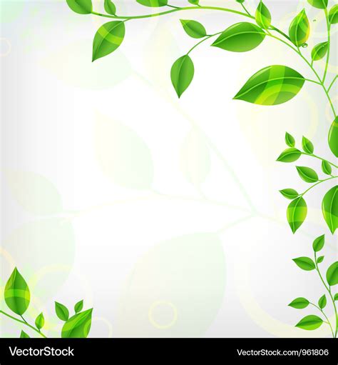 Vines Background Royalty Free Vector Image Vectorstock