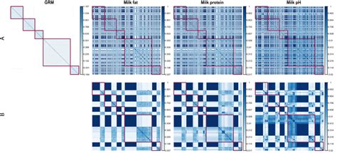 Genomic Relationship Matrix Grm And Standardized Similarity Matrices
