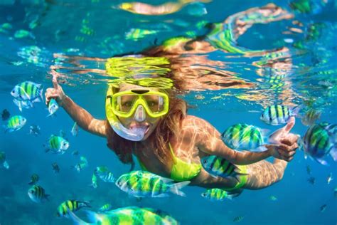 The Best Snorkeling On Oʻahu