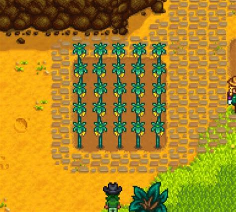 [top 10] Stardew Valley Best Summer Crops Ranked Gamers Decide