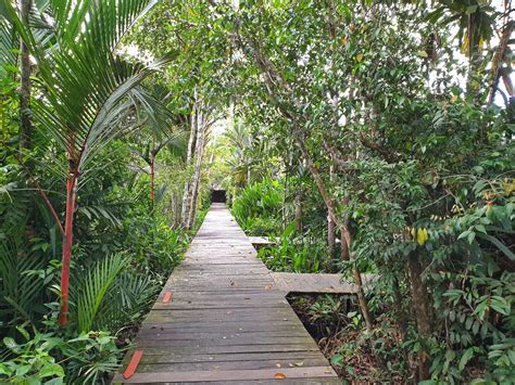Rimba Lodge Tanjung Puting National Park