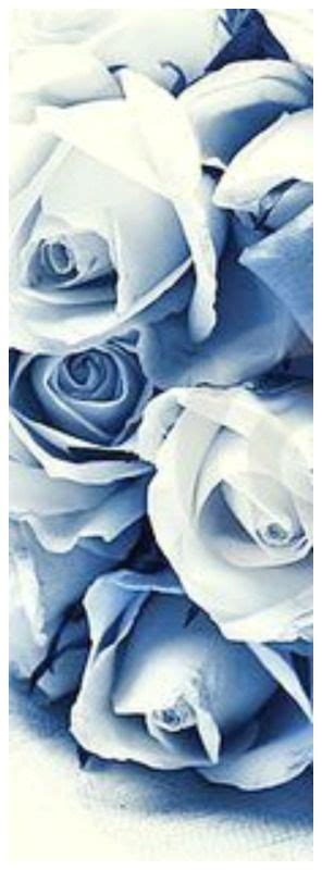 Pin By Suzie On Color Me Baby Blue Love And Light Colour French Blue