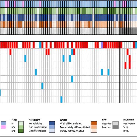 Next Generation Sequencing Ngs Coverage Comparison Of Manual Download Scientific Diagram
