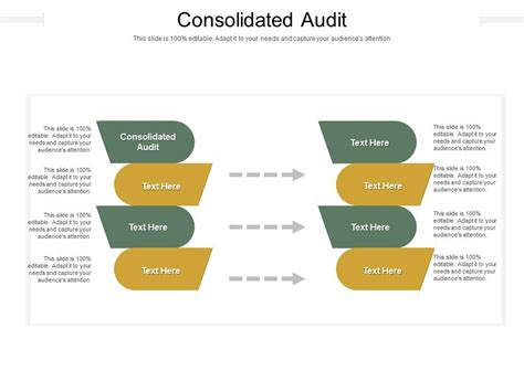 Consolidated Audit Ppt Powerpoint Presentation Show Graphics Design Cpb Presentation Graphics