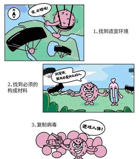 Hpv全知道：什么hpv病毒？与宫颈癌是什么关系？如何预防感染？ 搜狐大视野 搜狐新闻